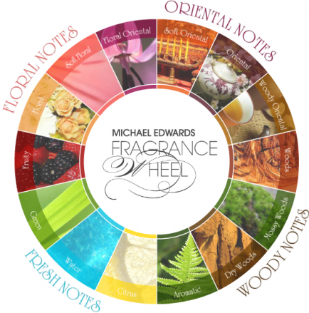Decoding The Fragrance Wheel | ParfumPlus Magazine