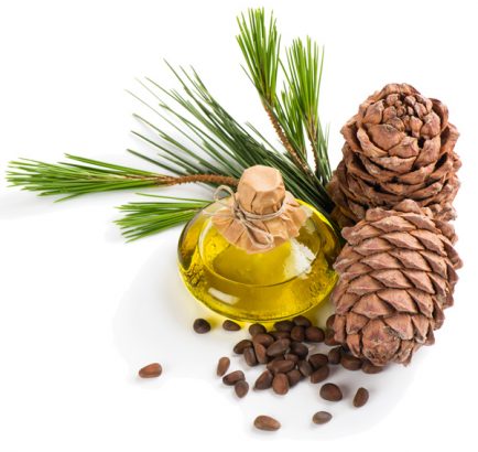 The Calm And Composed Cedarwood... | ParfumPlus Magazine