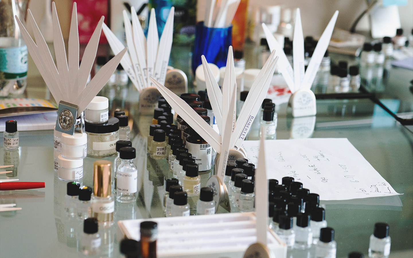 Our ‘Seed To Scent’ Approach Makes A Real Difference...” | ParfumPlus ...