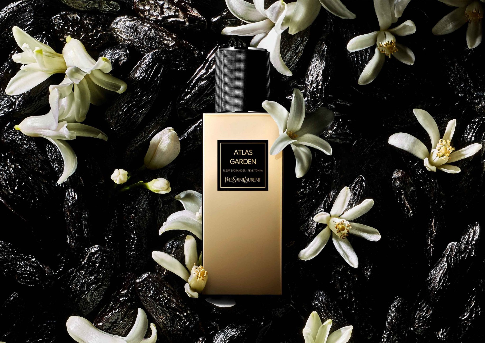 YSL Launches Atlas Garden-The Dream of a Moroccan Eden | ParfumPlus ...