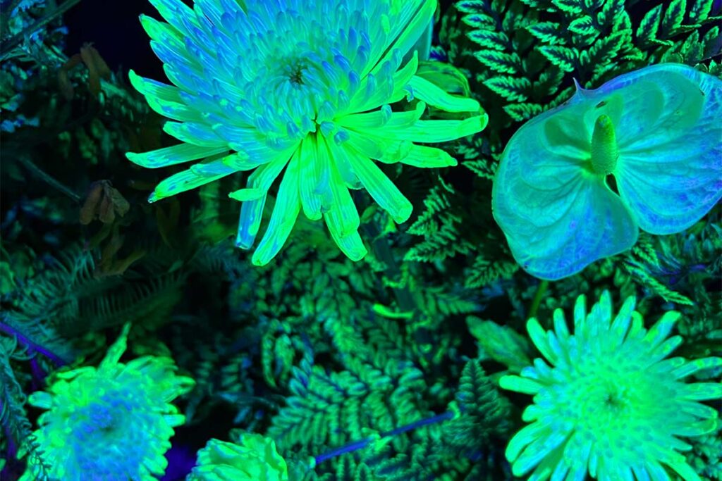 TechnicoFlor Biomimicry In Perfumery | ParfumPlus Magazine